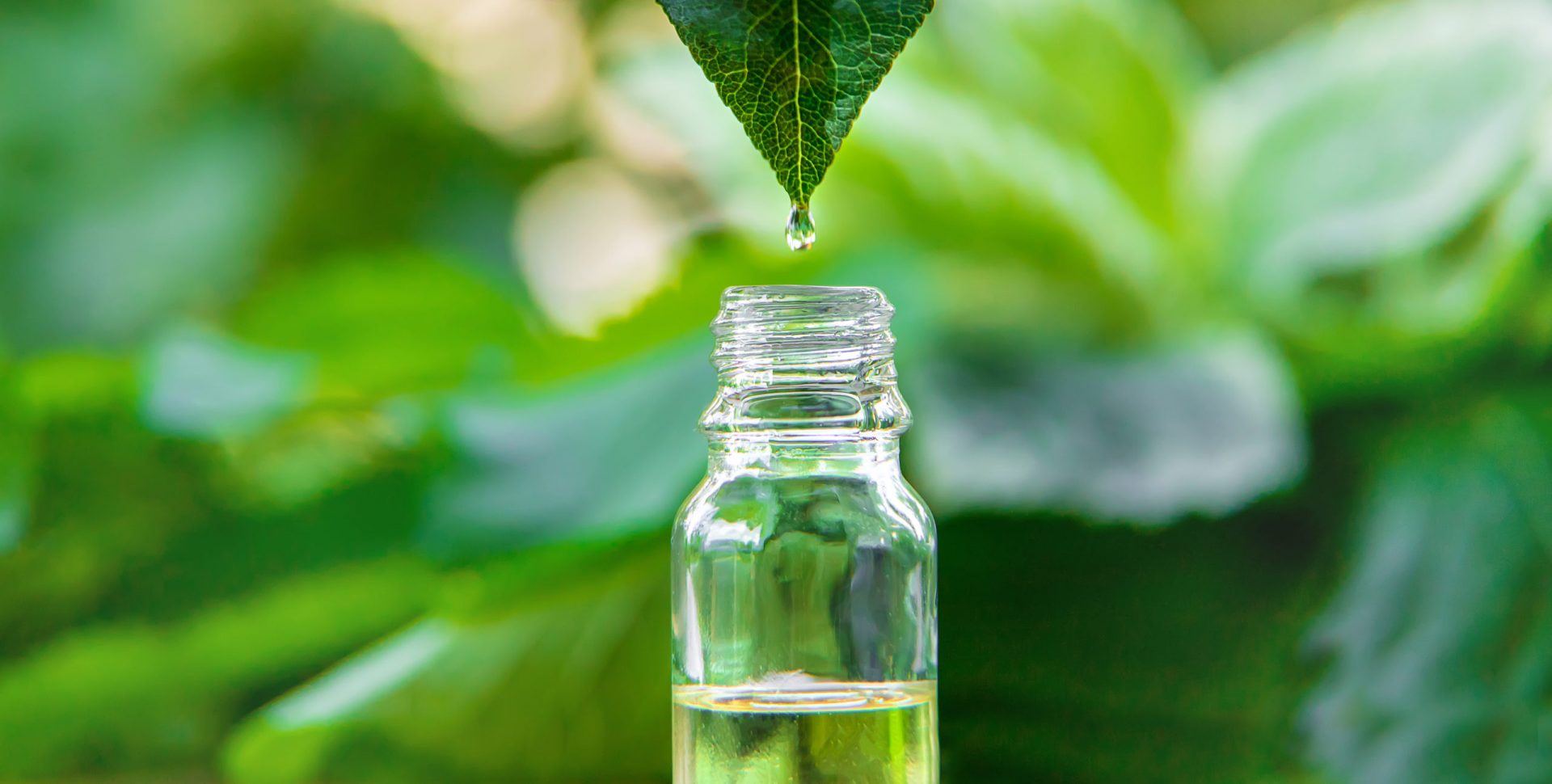 Aromatherapy Collections - Integrex